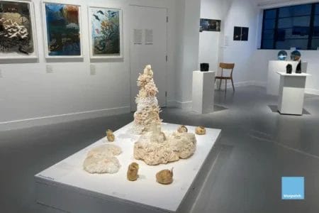 Extractivism: a quiet environmental activism | Blue Patch